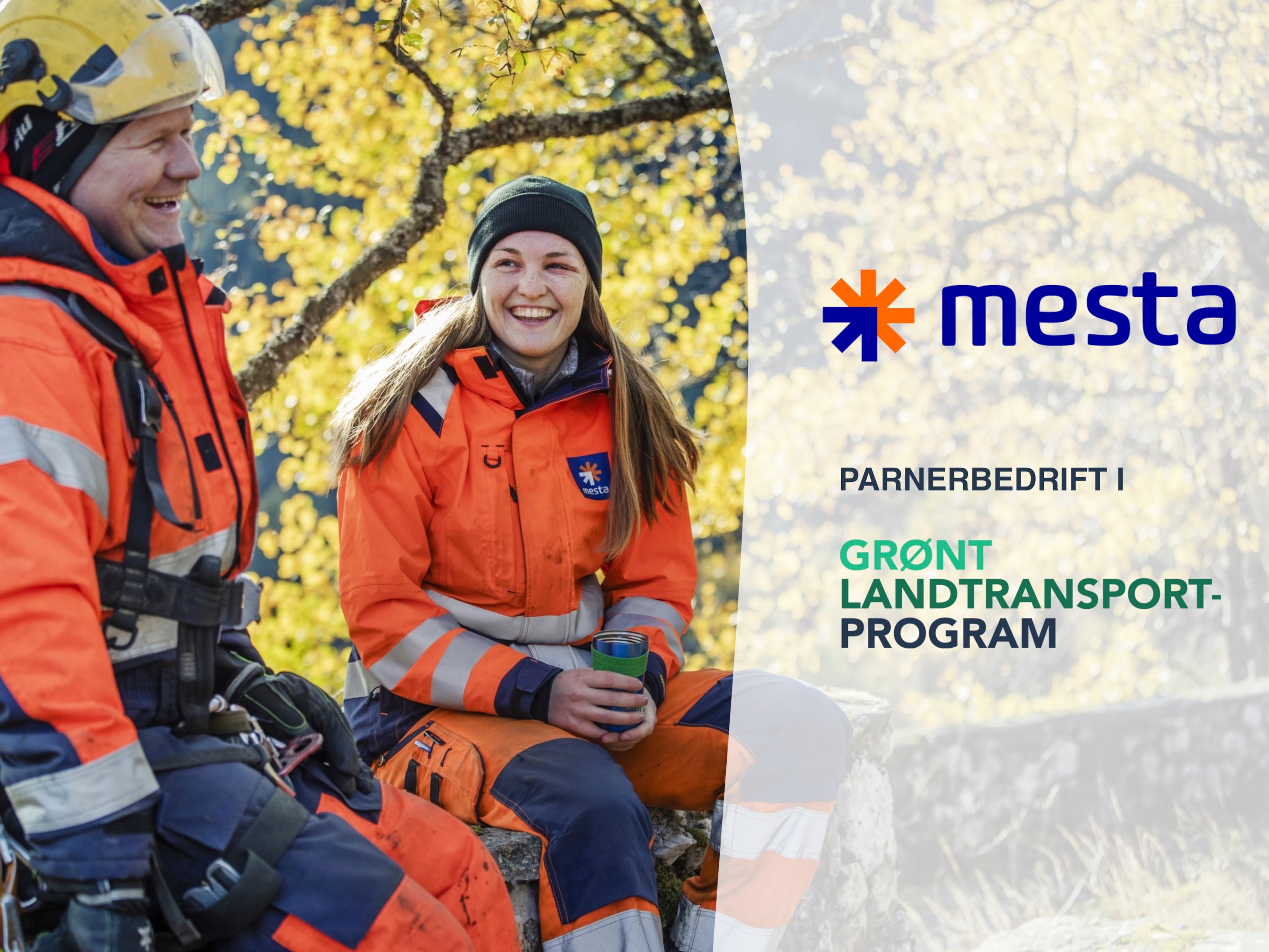 3 spørsmål med Mesta