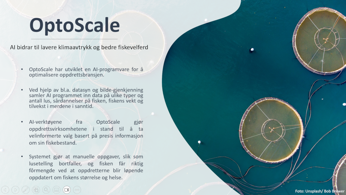 AI-løsninger fra OptoScale forbedrer økonomisk og miljømessig bærekraft i havbruksnæringen